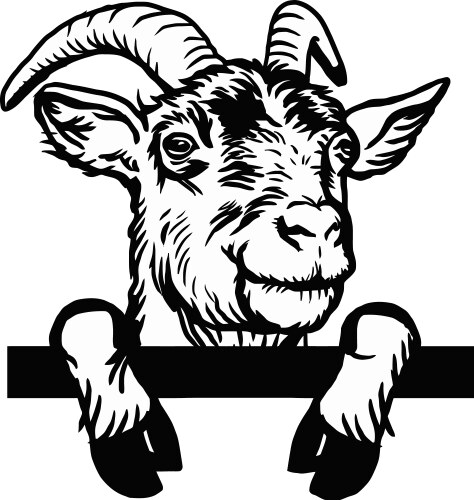 Goat Face Vector Images (over 4,200)