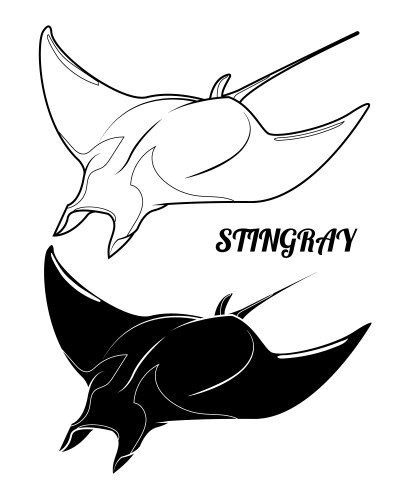 Stingray Outline Vector Images (over 990)