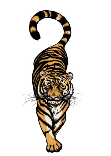 Tiger Vector Images (over 88,000)
