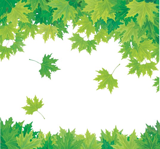 Frame of leaves Royalty Free Vector Image - VectorStock