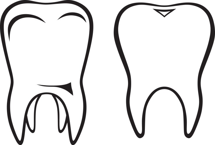 Tooth Royalty Free Vector Image - VectorStock