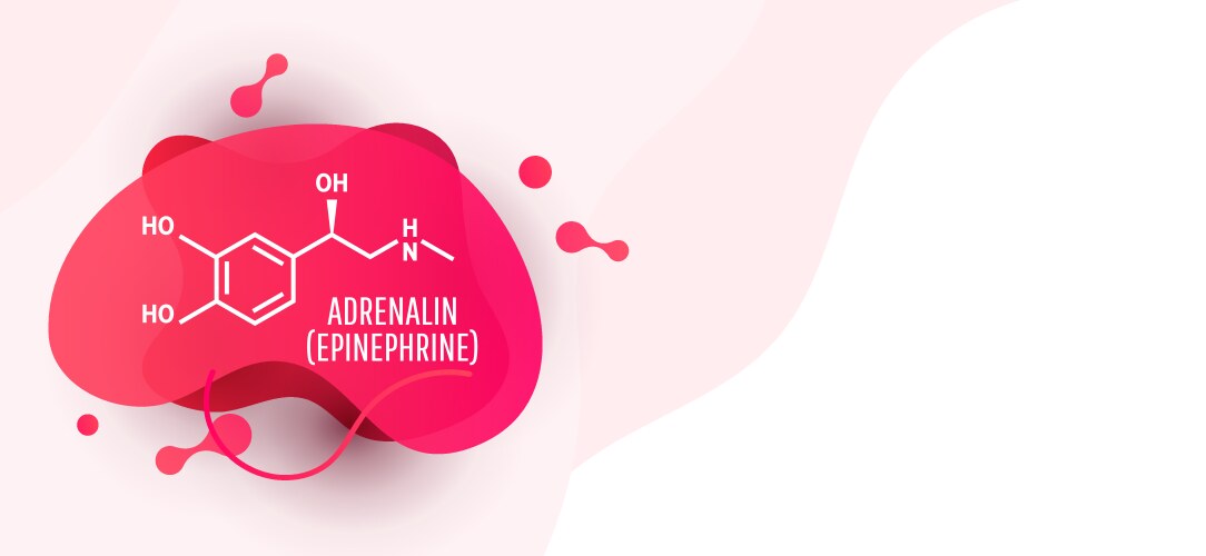 Epinephrine Vector Images (over 260)