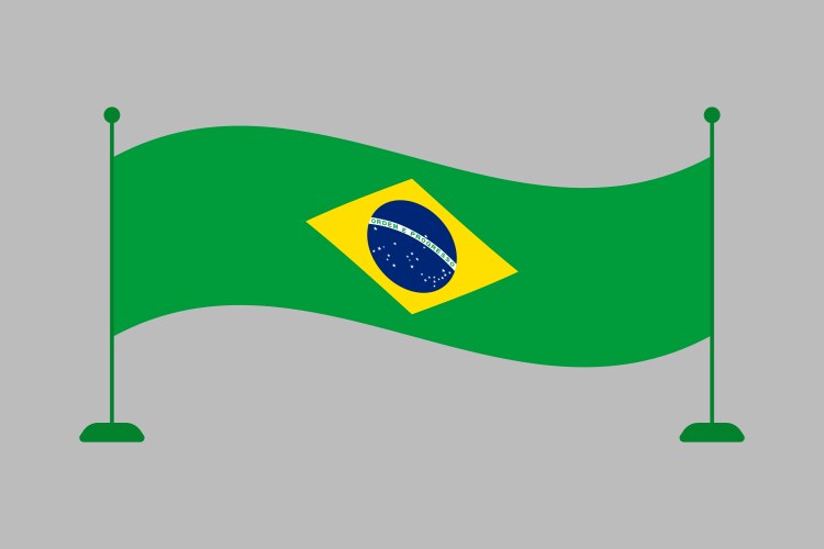Map of the brazil brazilian flag Royalty Free Vector Image