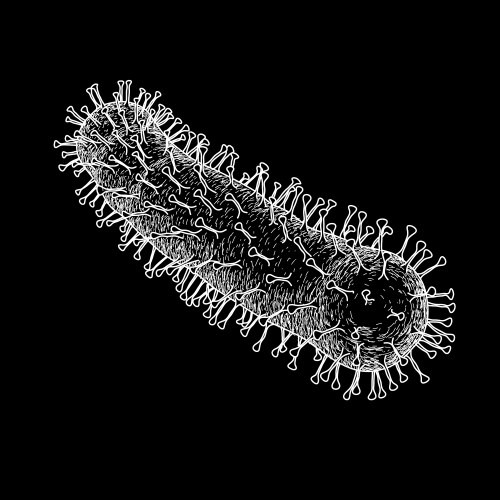 Pathology Vector Images (over 12,000)