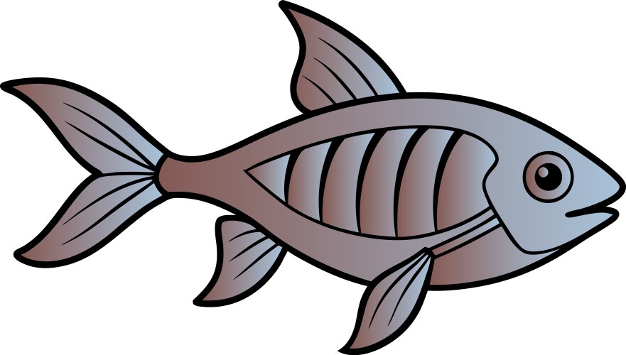X-Ray Fish Vector Images (over 280)