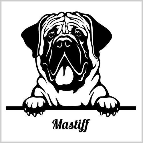 Mastiff Logo A Tibetan Mastiff Just Sold For Almost $2 Million