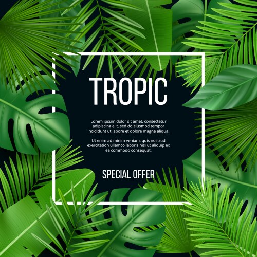 Nature Frame Vector Images (over 390,000)