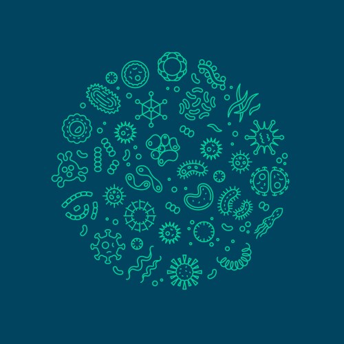 Bacteria Vector Images (over 150,000)