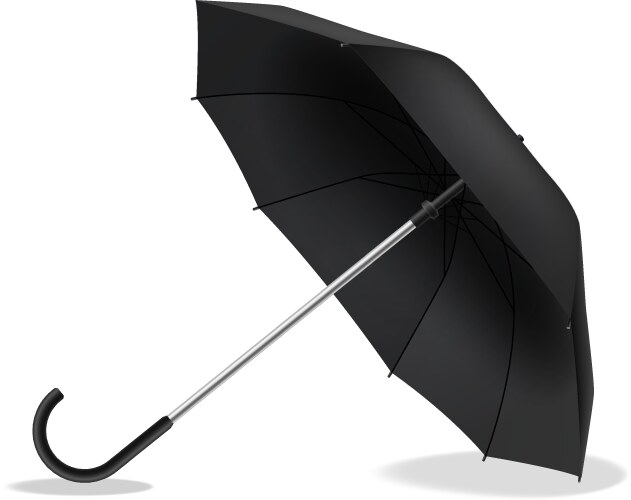 Shield Side View Vector Images (over 500)