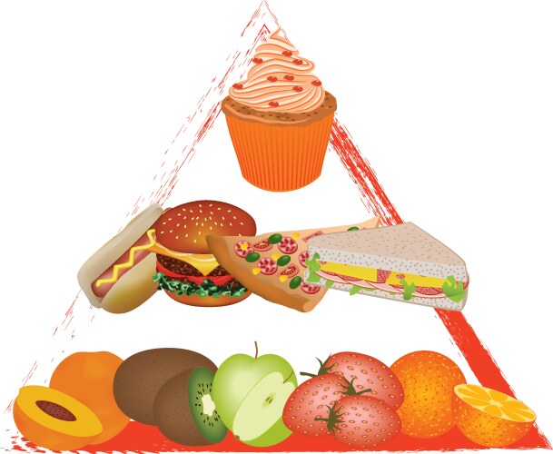 Food Pyramid Vector Images (over 6,200)