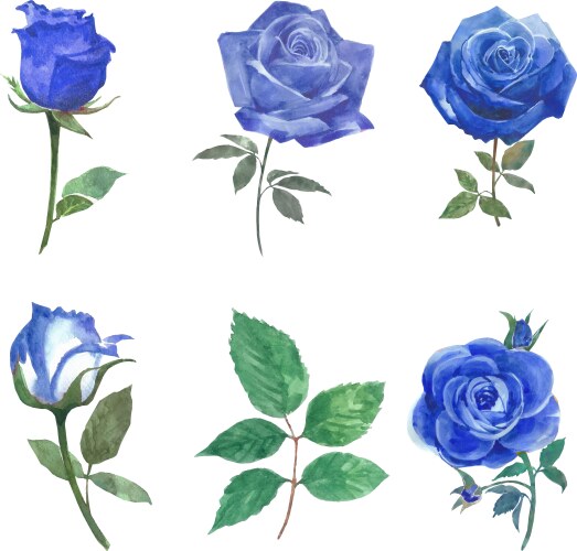 Free Rose Vector Images (over 10,000)