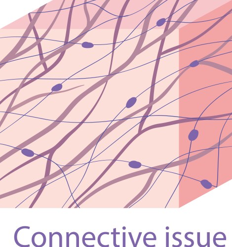 Biomedical Engineering Vector Images (over 1,400)