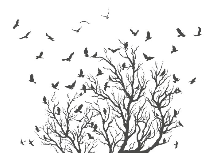 Trees and birds Royalty Free Vector Image - VectorStock
