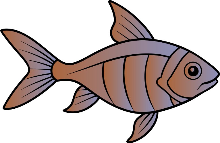X-Ray Fish Vector Images (over 280)