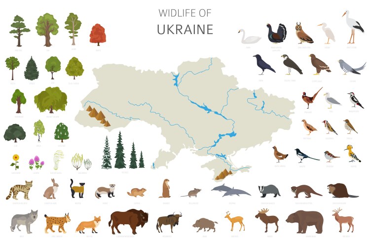 Steppe Eagle Vector Images (over 140)