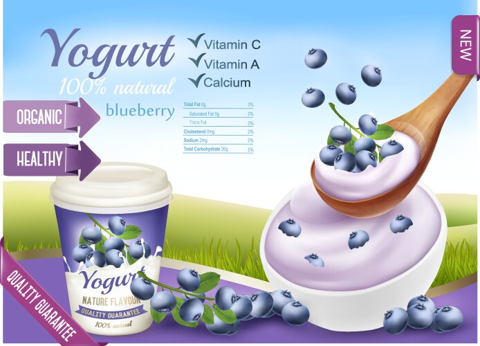 Fresh and natural blueberry yogurt label splash Vector Image