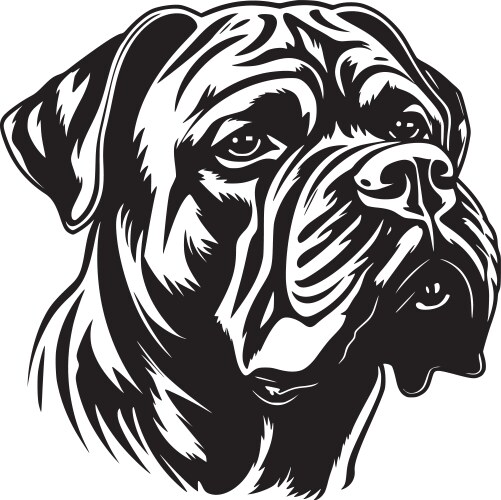 Cane Corso Vector Images (over 720)