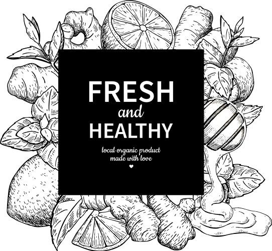 Honey ginger lemon and mint drawing Royalty Free Vector