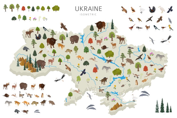 Steppe Eagle Vector Images (over 140)