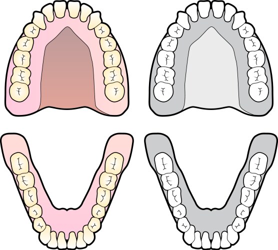 Tooth Vector Images (over 150,000)