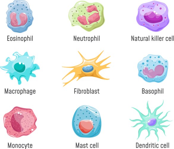 Scientific medical cells human body Royalty Free Vector