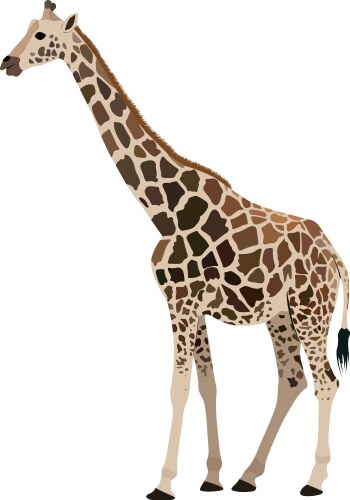 Giraffe Vector Images (over 41,000)