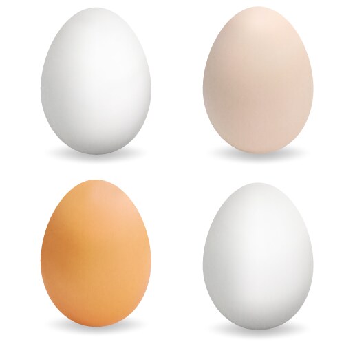 Eggs realistic set Royalty Free Vector Image - VectorStock