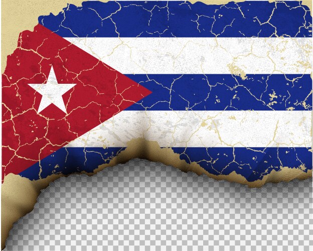 Ripped flag country torn paper burning Royalty Free Vector