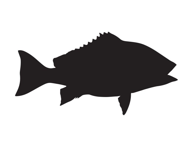 Fish silhouette for natural design Royalty Free Vector Image