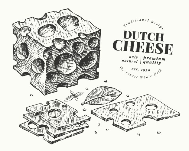 Emmental cheese drawing hand drawn food sketch Vector Image