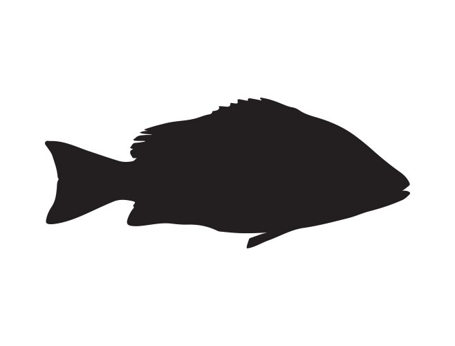 Fish silhouette for natural design Royalty Free Vector Image
