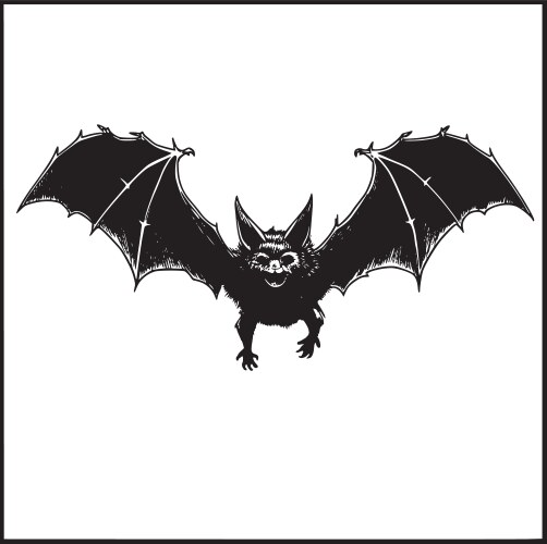 Bat Vector Images (over 150,000)