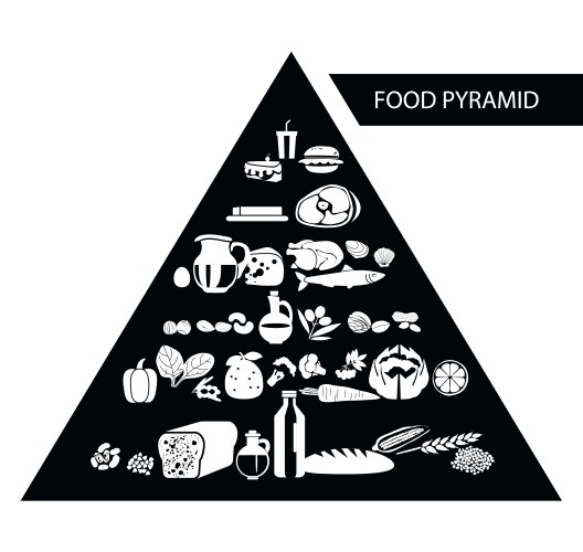 Food pyramid with five levels line monochrome Vector Image