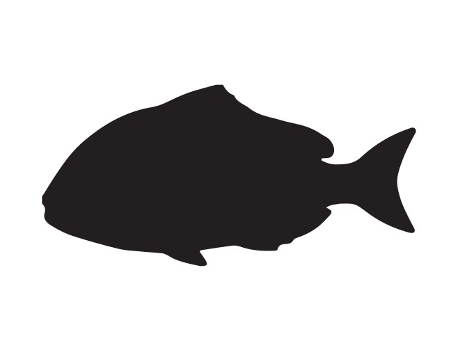Fish silhouette for natural design Royalty Free Vector Image