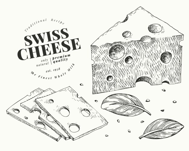Emmental cheese drawing hand drawn food sketch Vector Image