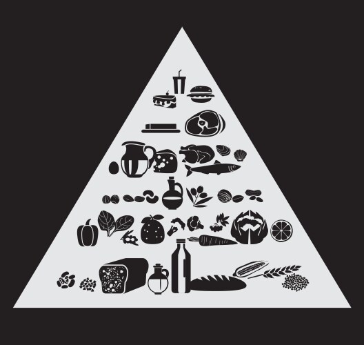 Food pyramid with five levels line monochrome Vector Image