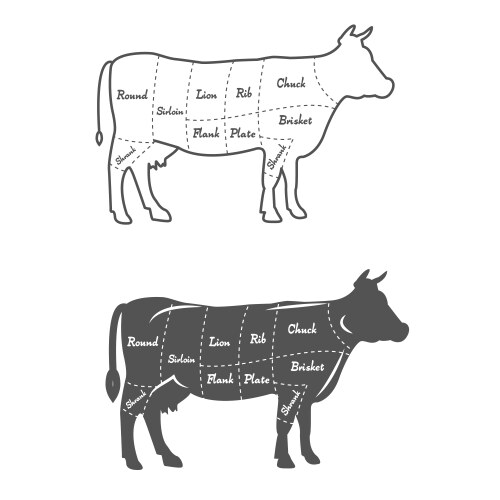 Meat diagram cow engraving Royalty Free Vector Image