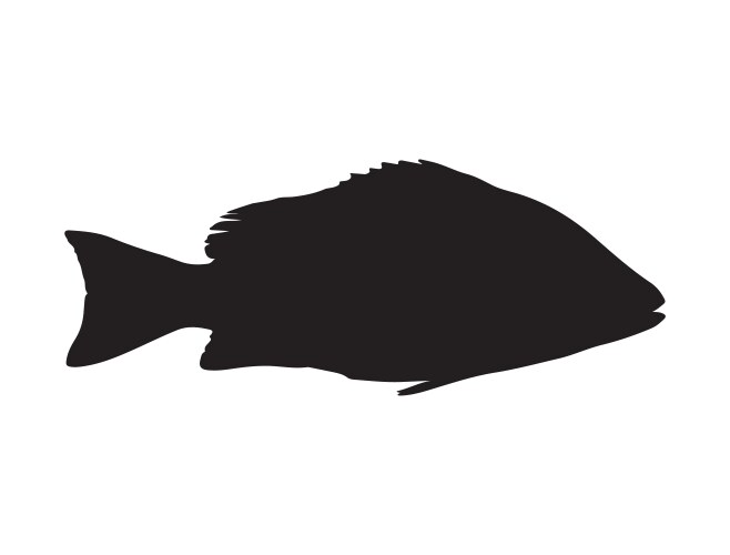 Fish Silhouette Vector Images (over 88,000)
