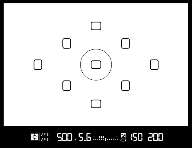 Camera view and focusing screen Royalty Free Vector Image