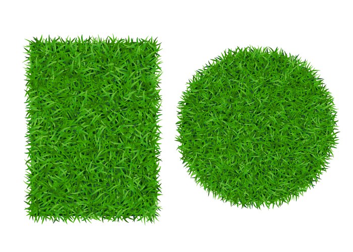 Grass circle 3d green plant grassy round field Vector Image