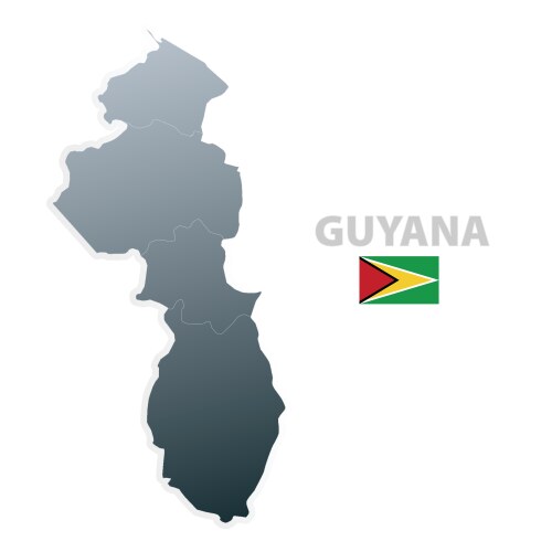 Flag Map Guyana Vector Images (over 500)