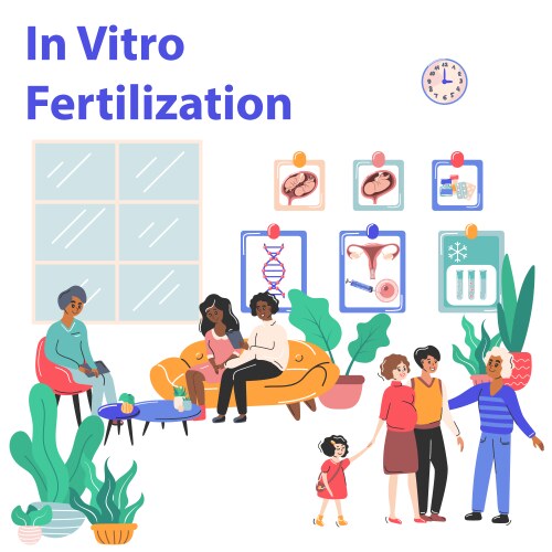 Pregnancy nutrition infographic elements in flat Vector Image Pregnancy nutrition infographic elements in flat Vector Image