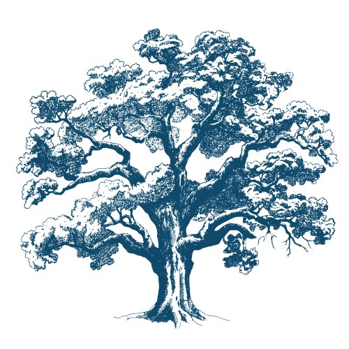 Hand drawing drawn tree Royalty Free Vector Image