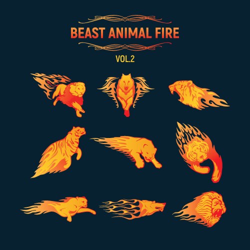 Phoenix - set of fire birds and flames logo Vector Image