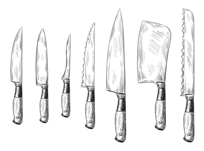 Vintage table setting hand drawn dinner knife Vector Image