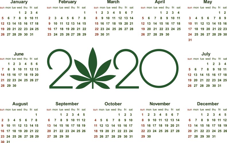 Calendar templates for a year 2025 - 2029 Vector Image