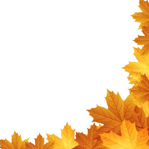 Bouquet fallen autumn leaves Royalty Free Vector Image