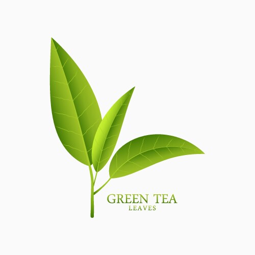 Tea leaf sprout icon simple style Royalty Free Vector Image