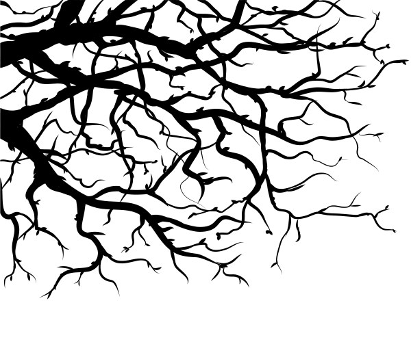 Liquid branches Royalty Free Vector Image - VectorStock