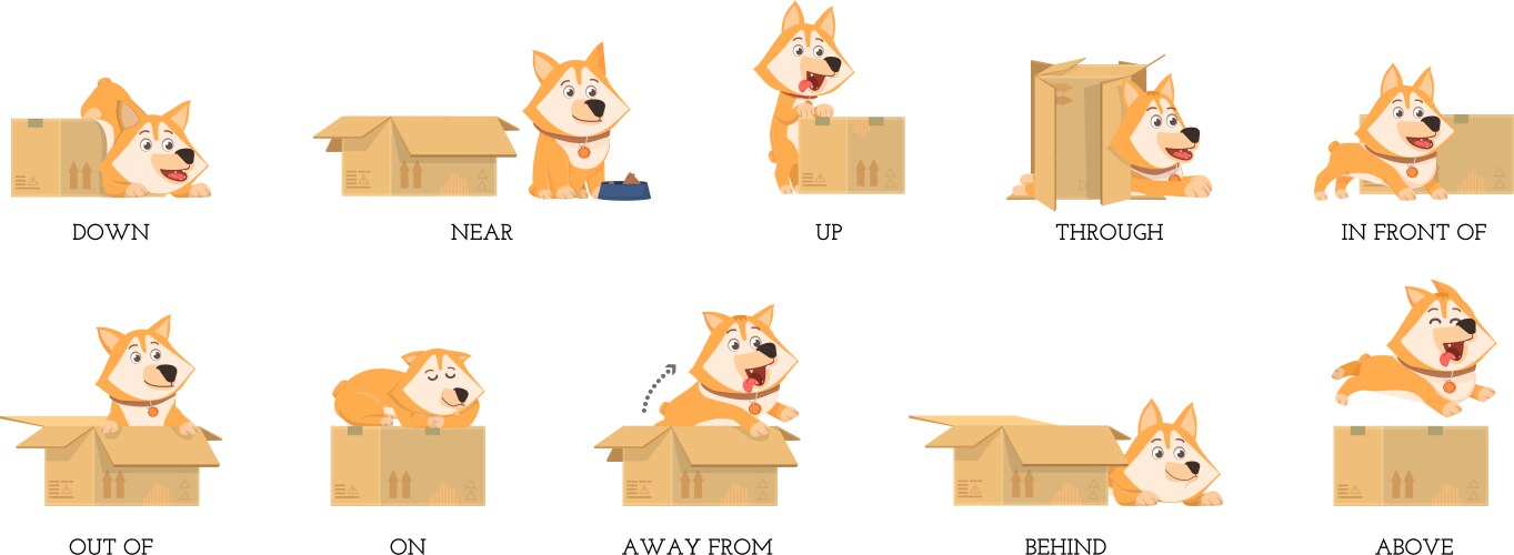 English prepositions with cute animal cartoon dog Vector Image